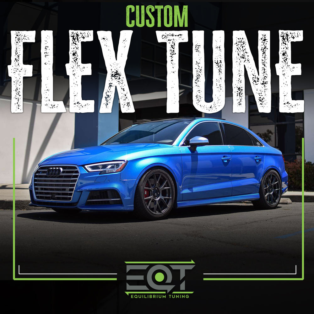 Flex Fuel Tuning & Parts – Equilibrium Tuning, Inc.